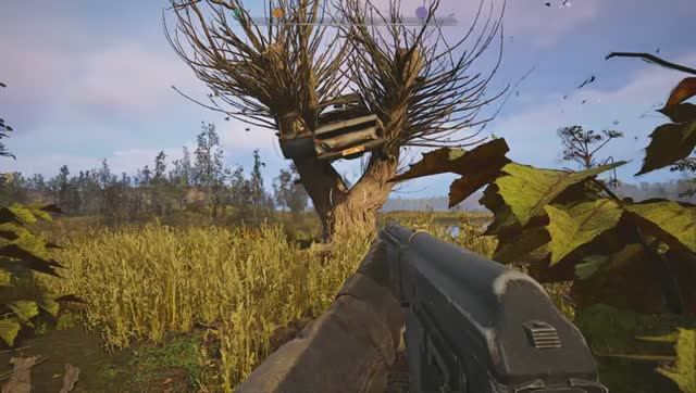 сталкер 2 болота увеличенный магазин СВ Винтарь тайник