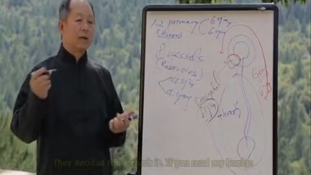 Боевой Цигун 7. Ци сосуды и резервуары Ян Цзюньмин