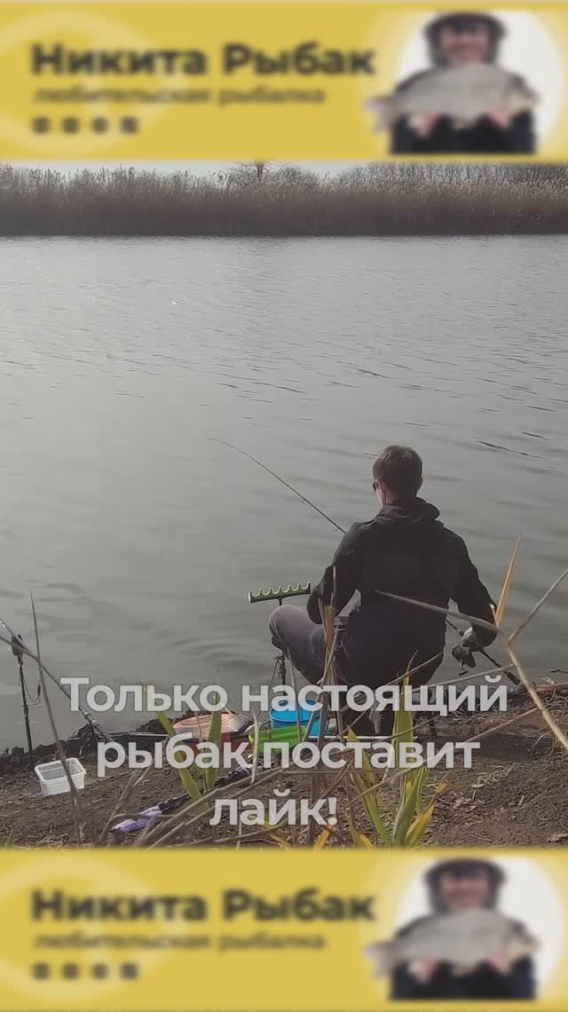 Поклёвка за поклёвкой — успевай следить!