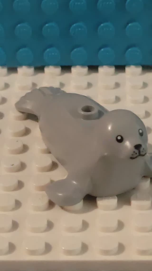 ТАНЦЫ ЛЕГО ТЮЛЕНЕЙ.