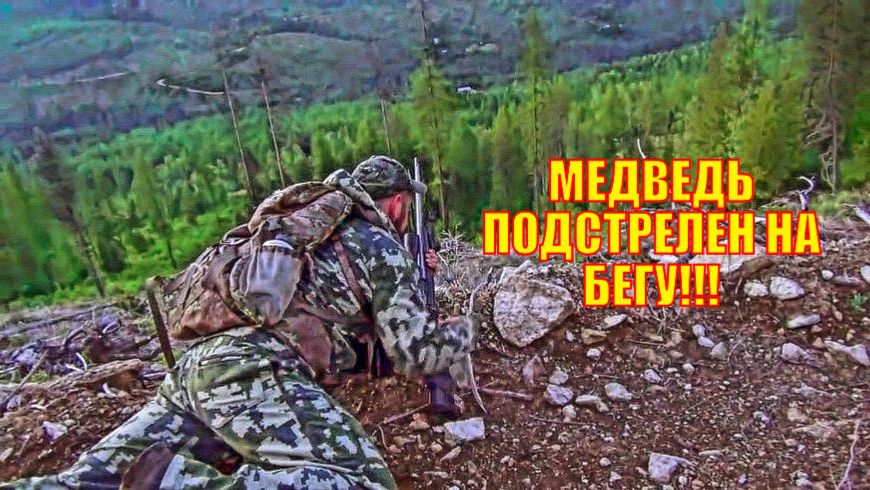 МЕДВЕДЬ ПОДСТРЕЛЕН НА БЕГУ!!!