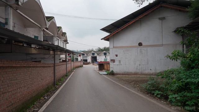 Китай. Прогулка по старинным улочкам поселка Цзингуань города Чунцин