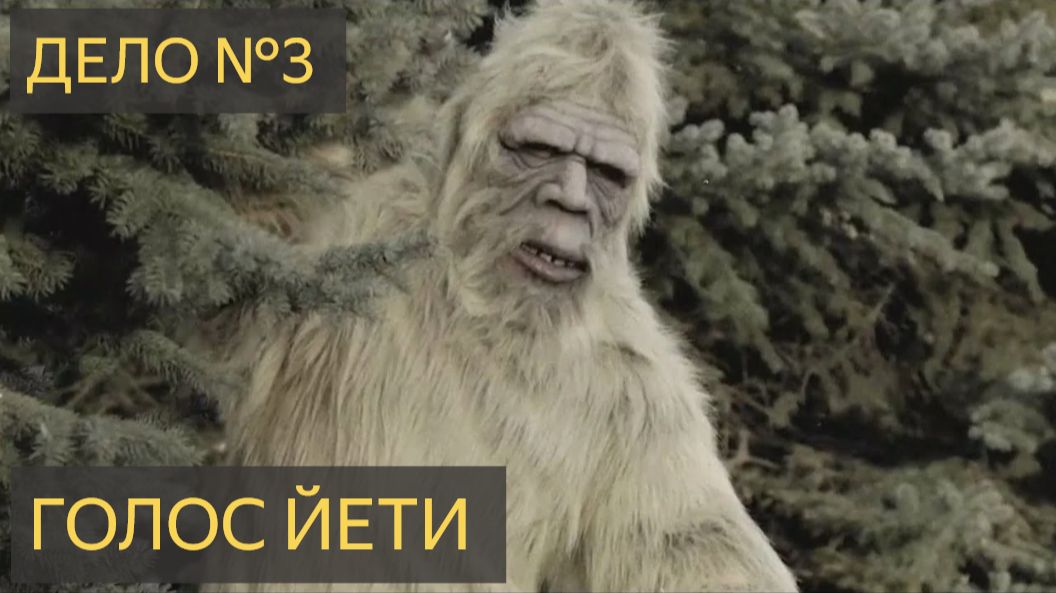 Голос Йети (Дело №3)
