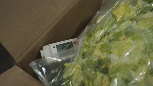 КАМАЗ 65658 обеспечит сохранность вашего груза.