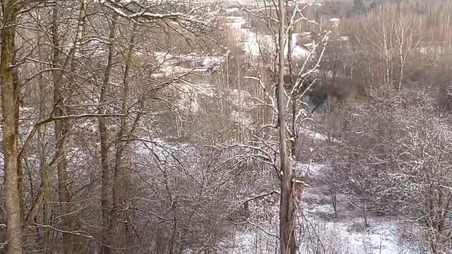 Вид на Новый Иерусалим с Фавор. 16 ноября 2025 год