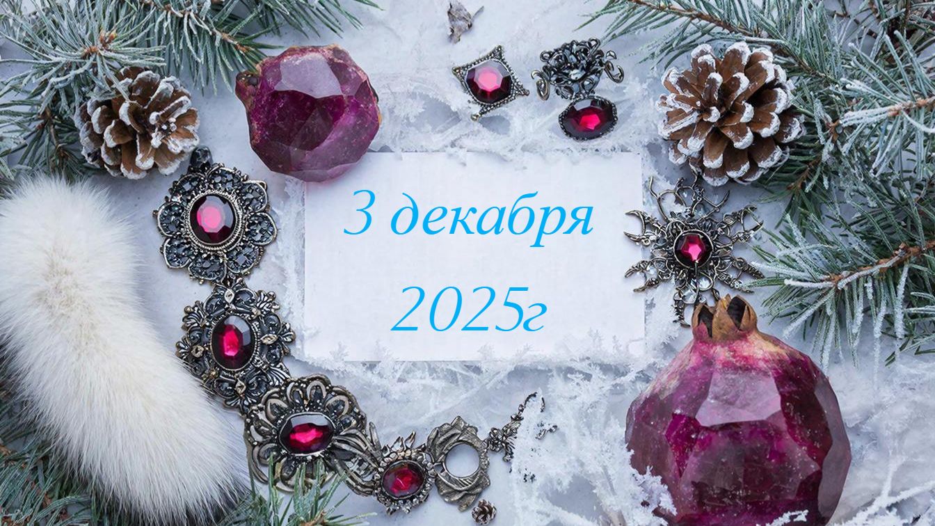 Новое поступление 3-12-2025
