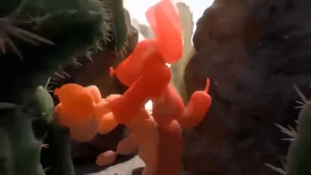 Пятнадцать кактусов, группа Среда Обитания, 1990 год