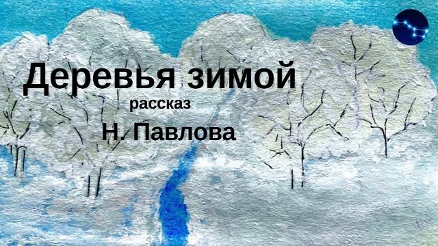 Деревья зимой / Лесной детектив для юных следопытов! от Н. Павловой