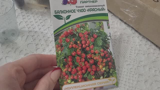 НИ ЗА ЧТО БОЛЬШЕ НЕ КУПЛЮ ТАМ СЕМЕНА//СЕЮ ТОМАТЫ НА РАННИЙ УРОЖАЙ🍅