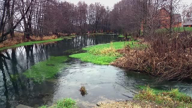 Форелевая ферма (2) . Кемпинг .