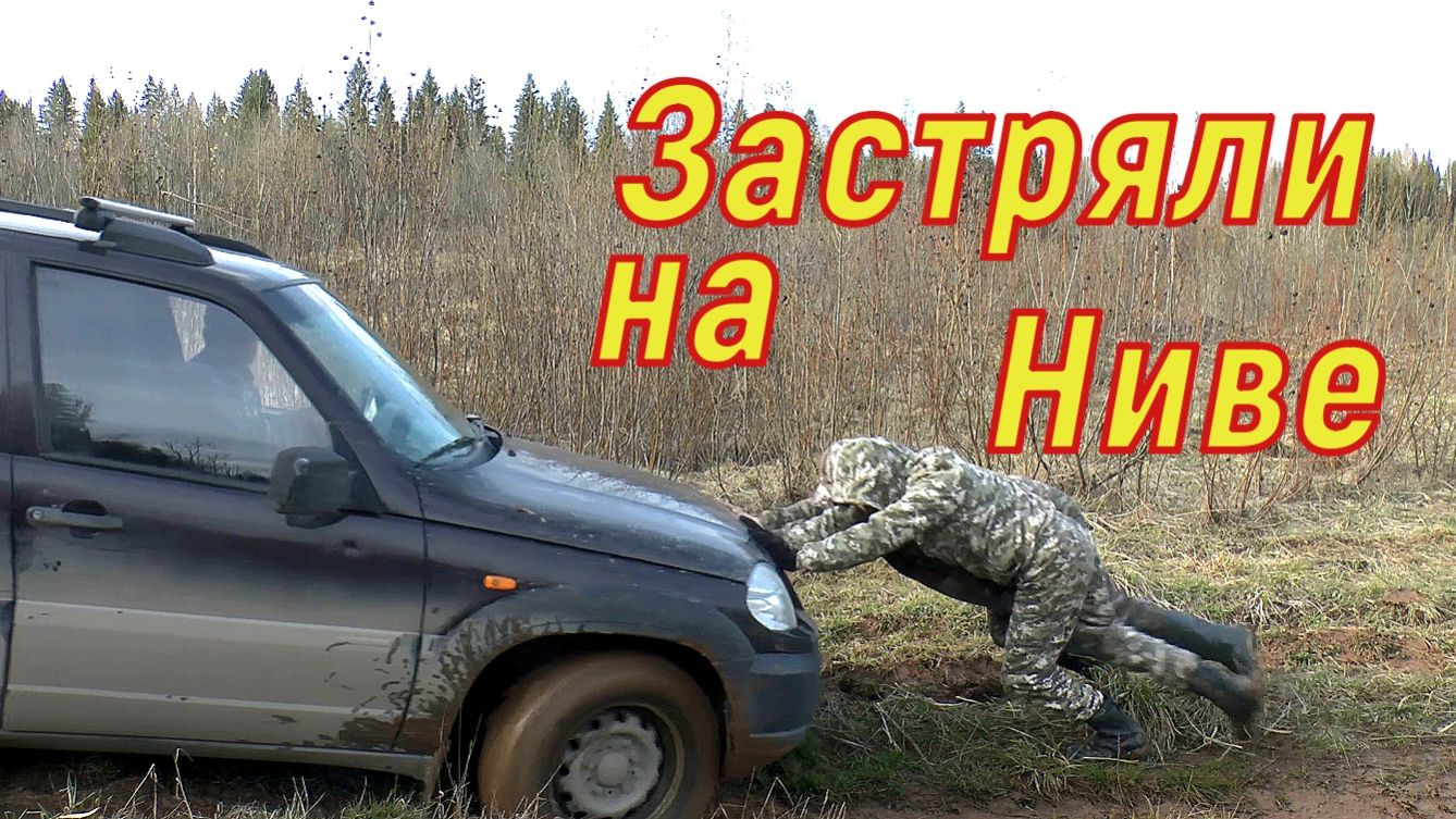 Застрял В Лесу