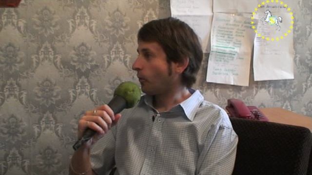 2. Crazy Wings (Summer 2007)