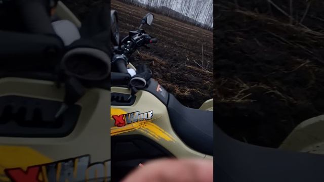 VID_20251202_120033.mp4