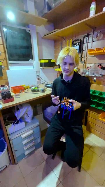 Проект: "РобоПаук"