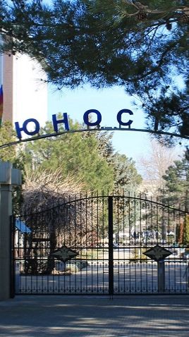 санаторий ″Юность″  14 иду к морю пить ряженку Shorts