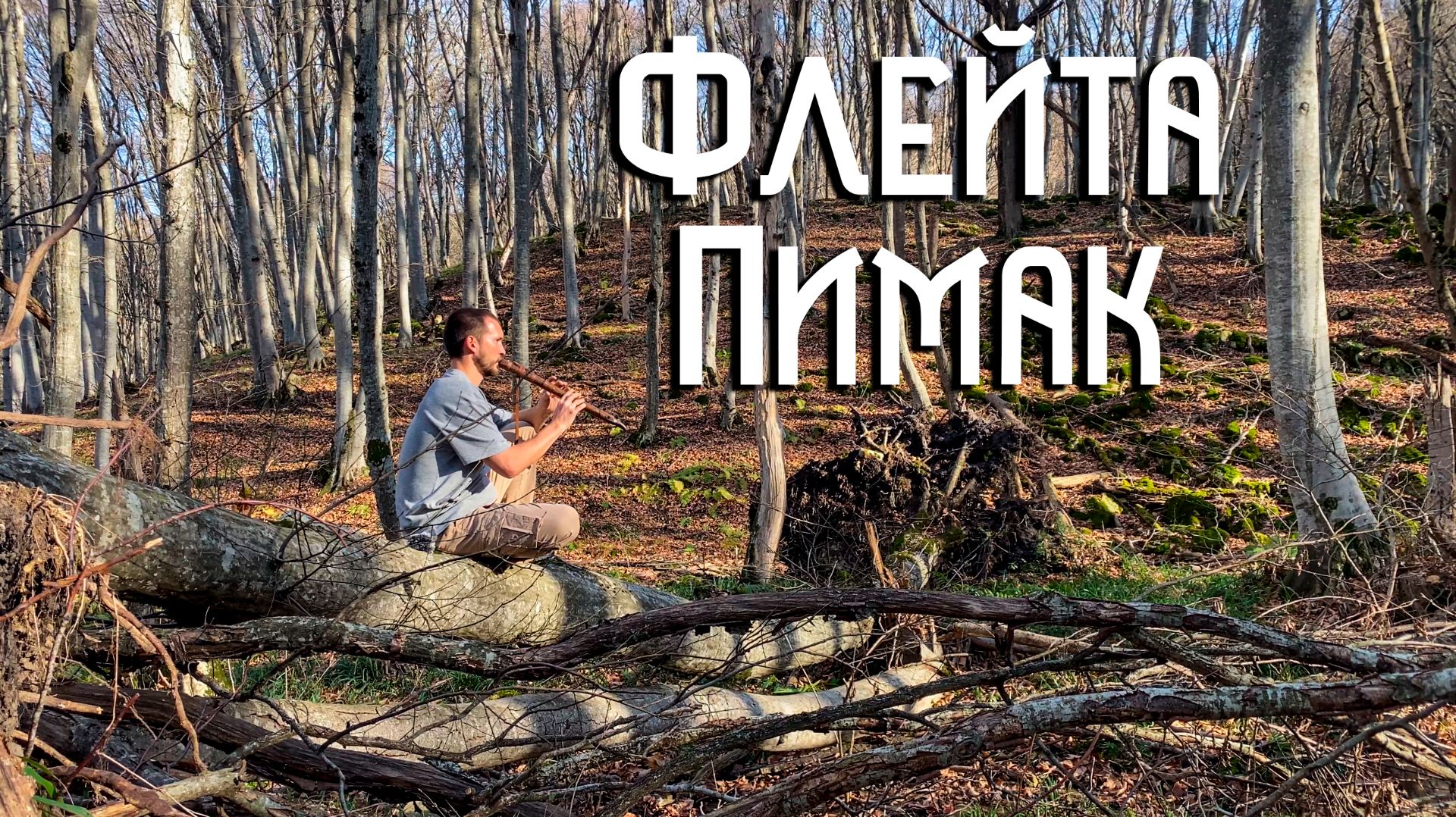 Флейта Пимак и Лесная Тишина / Музыка Души из Лесной Глуши
