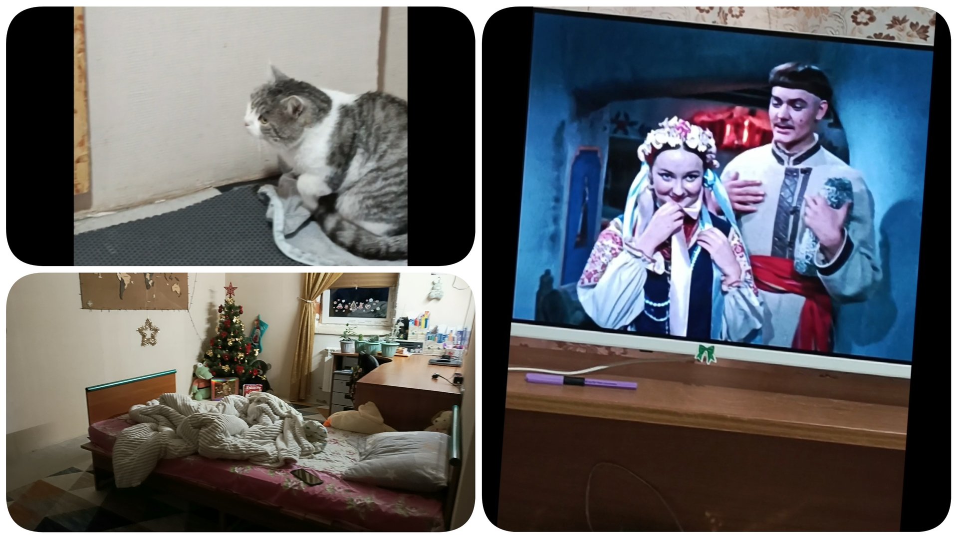 Vlog Готовимся к итоговому сочинению 📖. Смотрим фильм Вечоры на хуторе близ Диканьки