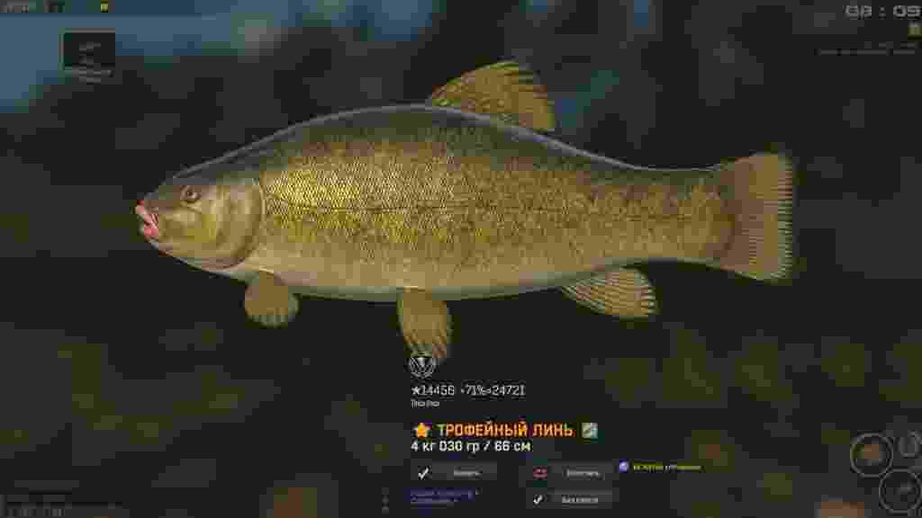 🔴Fisher Online Рек🔴  Пра 👉Троф Линь