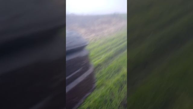 VID_20251202_153528.mp4