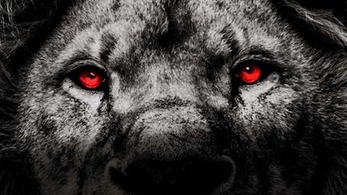 Ярмарка душ