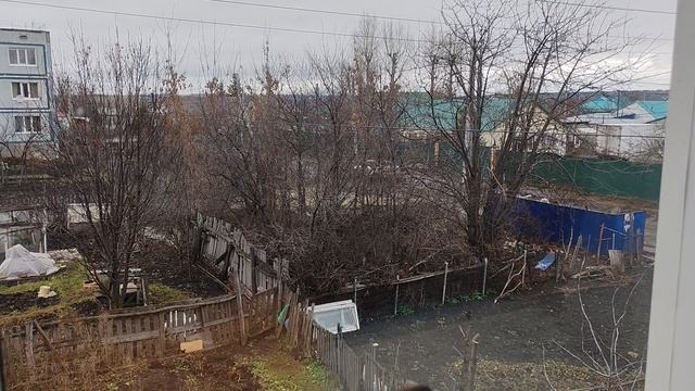 02-12-2025 кот в деревне