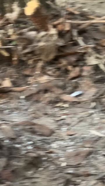 Природа на рыбалке