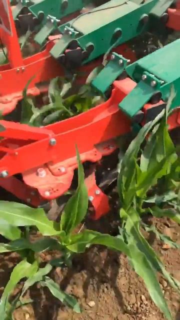 OLIVER Культиватор для междурядной обработки