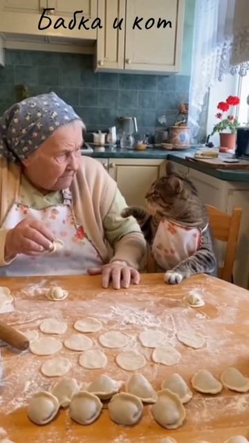 Кто как не бабуля правильно воспитает котика!? #рек #топ #смешныекоты #смешныевидео #врек #прикол