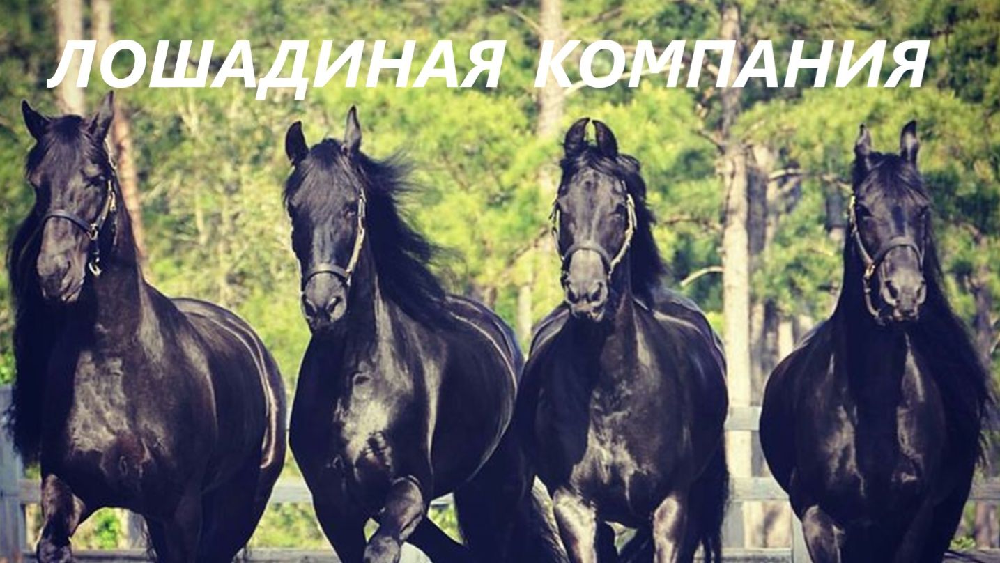 Органайзер и подушка.Подарки с символом года.(декабрь 2025г)