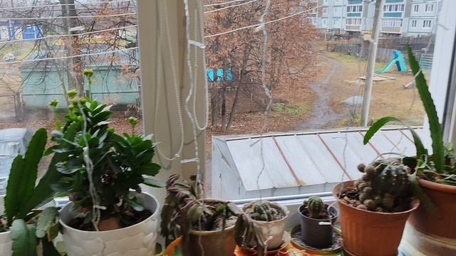 02-12-2025 убираюсь в деревне