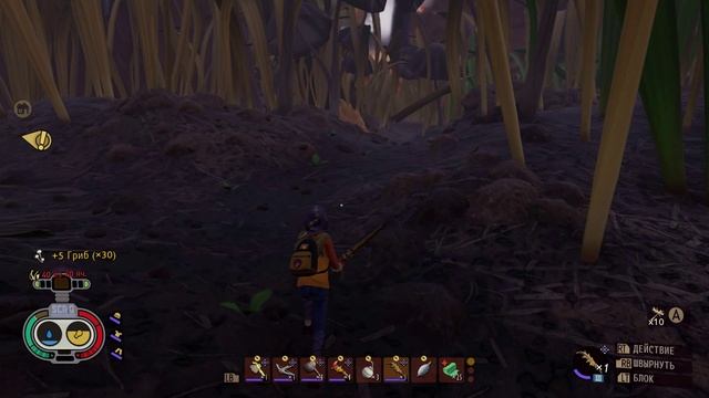 Grounded 22. Бой с жуком быком  и  термитник