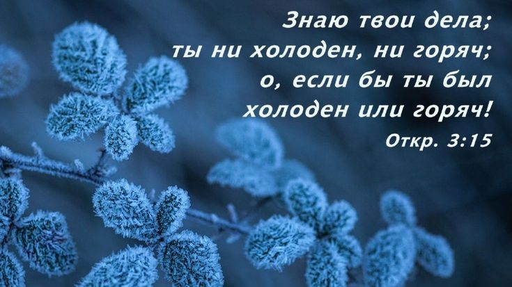 Ты носишь имя, будто жив | стихи христианские