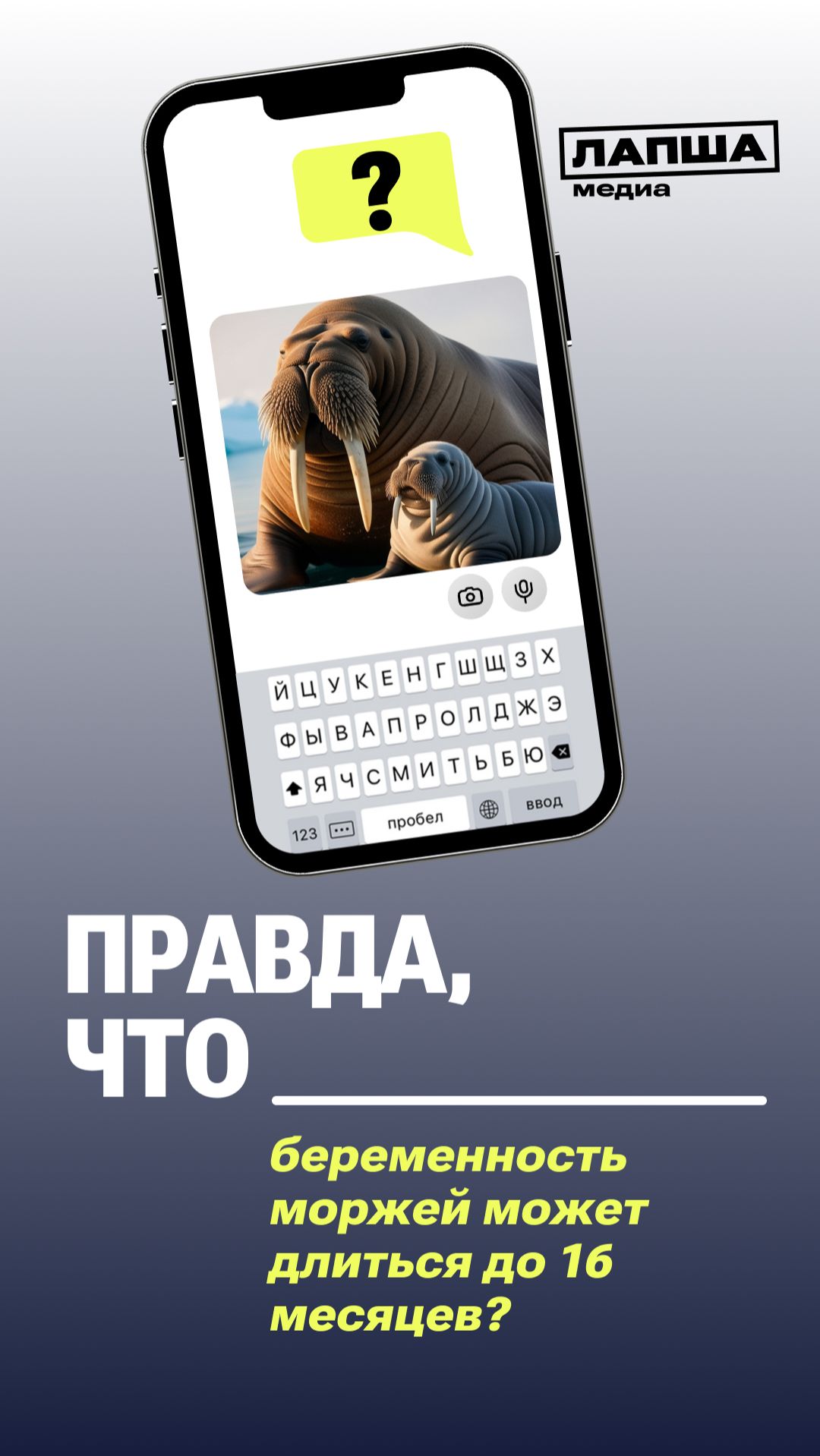 БЕРЕМЕННОСТЬ МОЖЕТ МОЖЕТ ДЛИТЬСЯ ДО 16 МЕСЯЦЕВ?