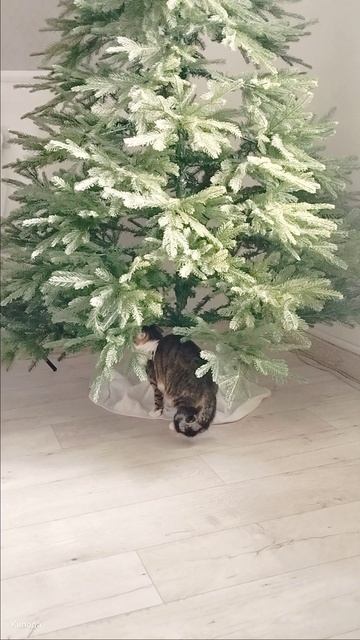 Подготовка к Новому году. Начало...