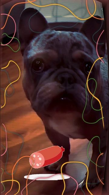 юмор ...есть всякую гадость...