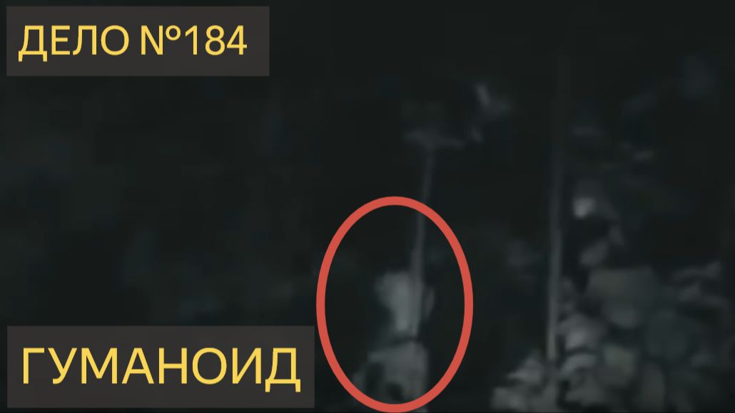 Гуманоид (Дело №184)