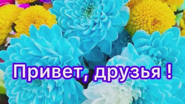 Довяжу! 6 серия, влог о вязании, итоги ноября