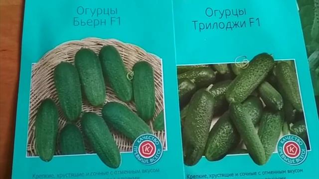 Какие огурцы сажаю