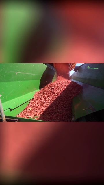 Бункер-перегрузчик - универсальный помощник аграриев