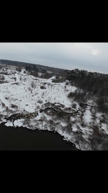 Snow❄️freestyle:🛷flights☃️between🌬️trees🎄on the🥶edge🌨️