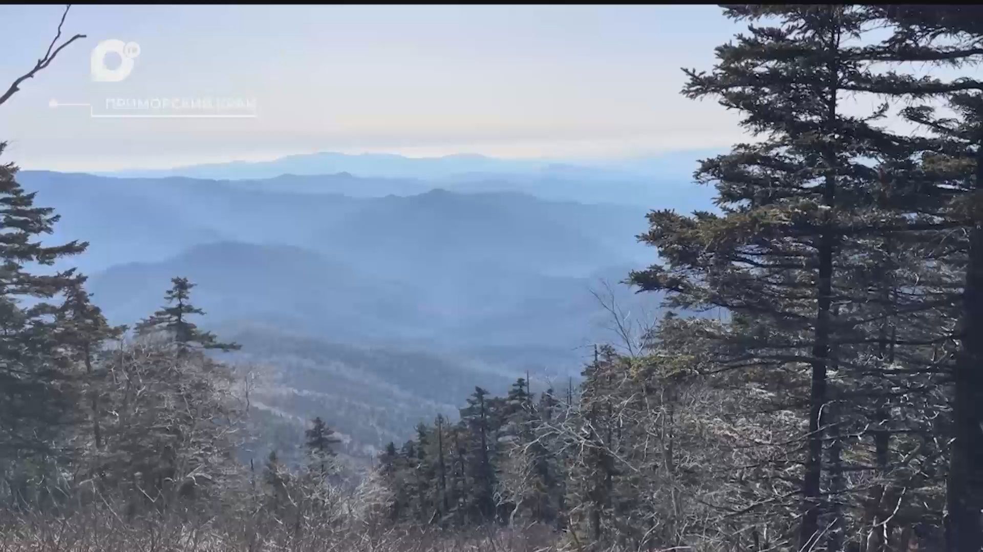 Разведка блогом / Гора  Макарова. Продолжение / 02.12.25