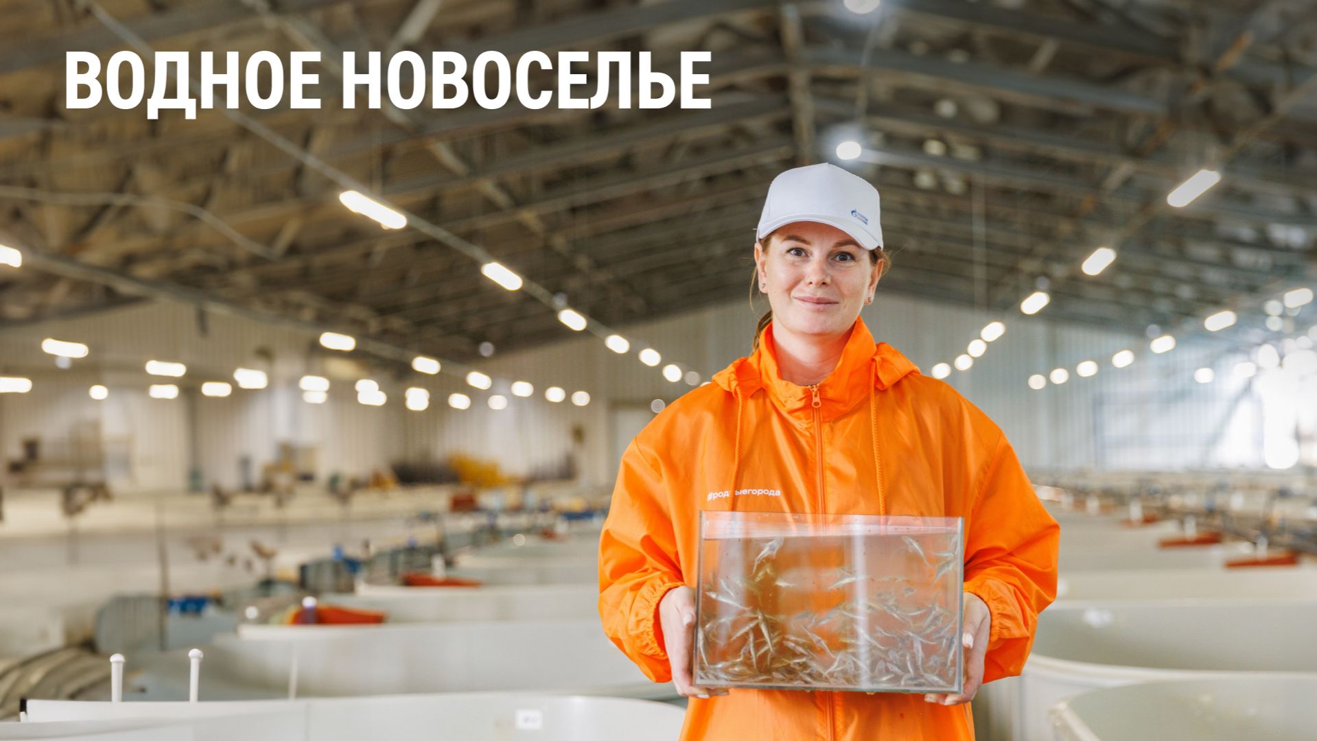 Водное новоселье