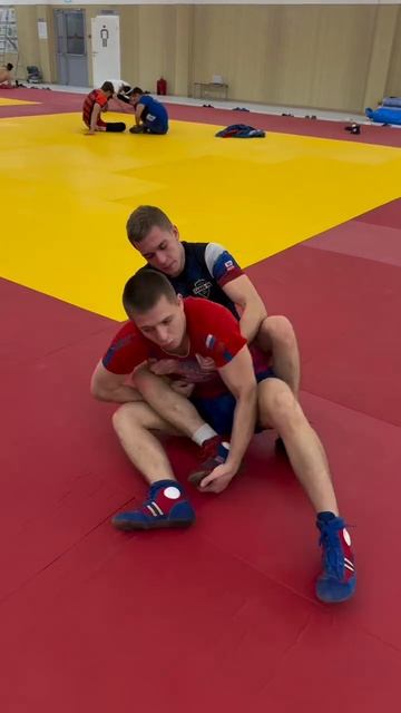 Ахиллес вариант Дедова (самбо)