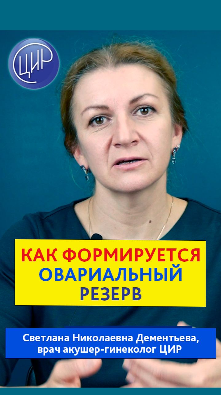 Как формируется овариальный резерв. Врач акушер-гинеколог ЦИР, Светлана Николаевна Дементьева.
