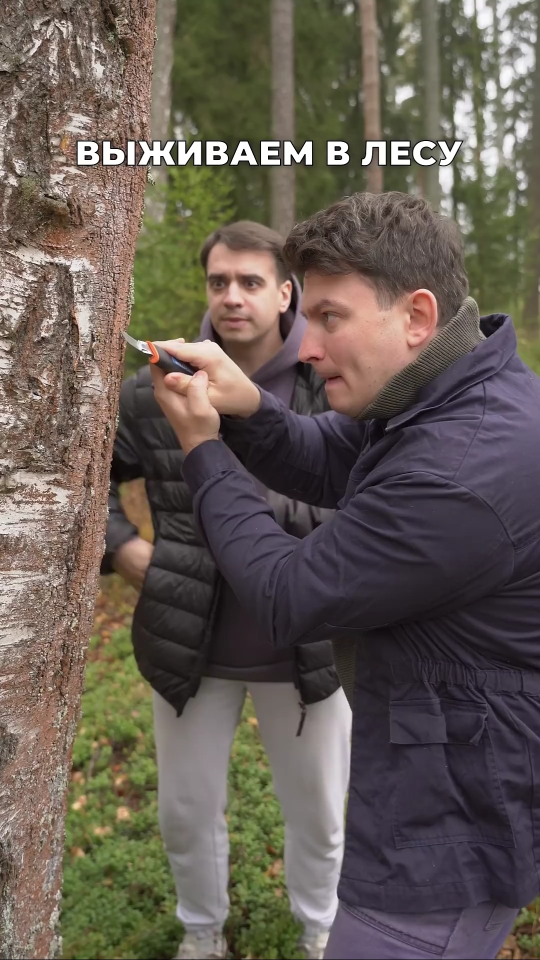 ВЫЖИВАЕМ В ЛЕСУ