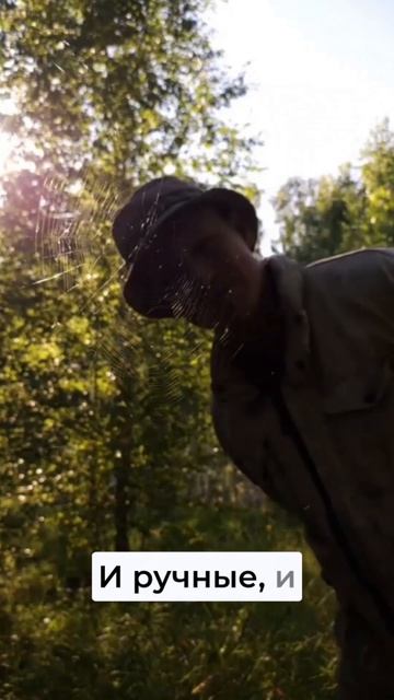 Сказ о том, как Иван ботов ловил 🤖