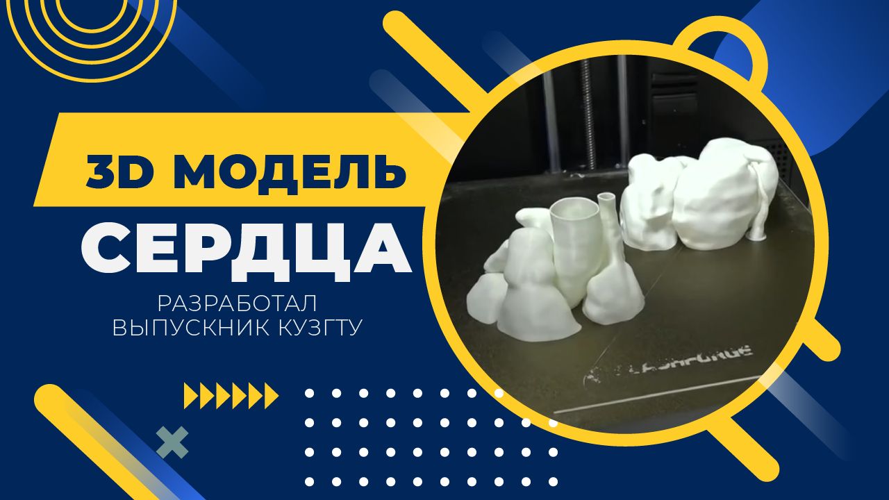 3D модель сердца разработал выпускник КузГТУ