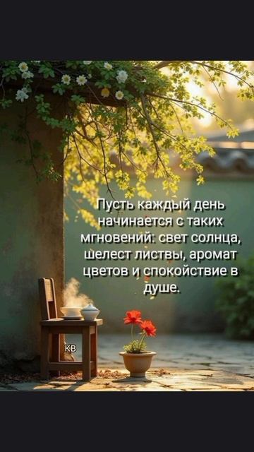 #мысли #цитаты #katyboro #афоризмы  #топ #рек #shortvideo #short   #viralshort #пожелания #шорст