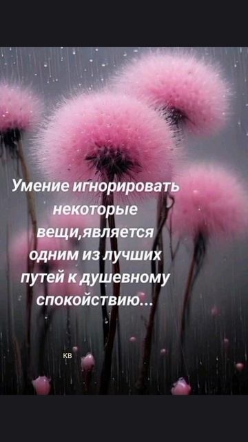 #мысли #цитаты #katyboro #афоризмы  #топ #рек #shortvideo #short   #viralshort #умныемысли  #2025