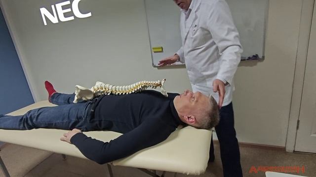 Сегментарная диагностика и лечение ШОП